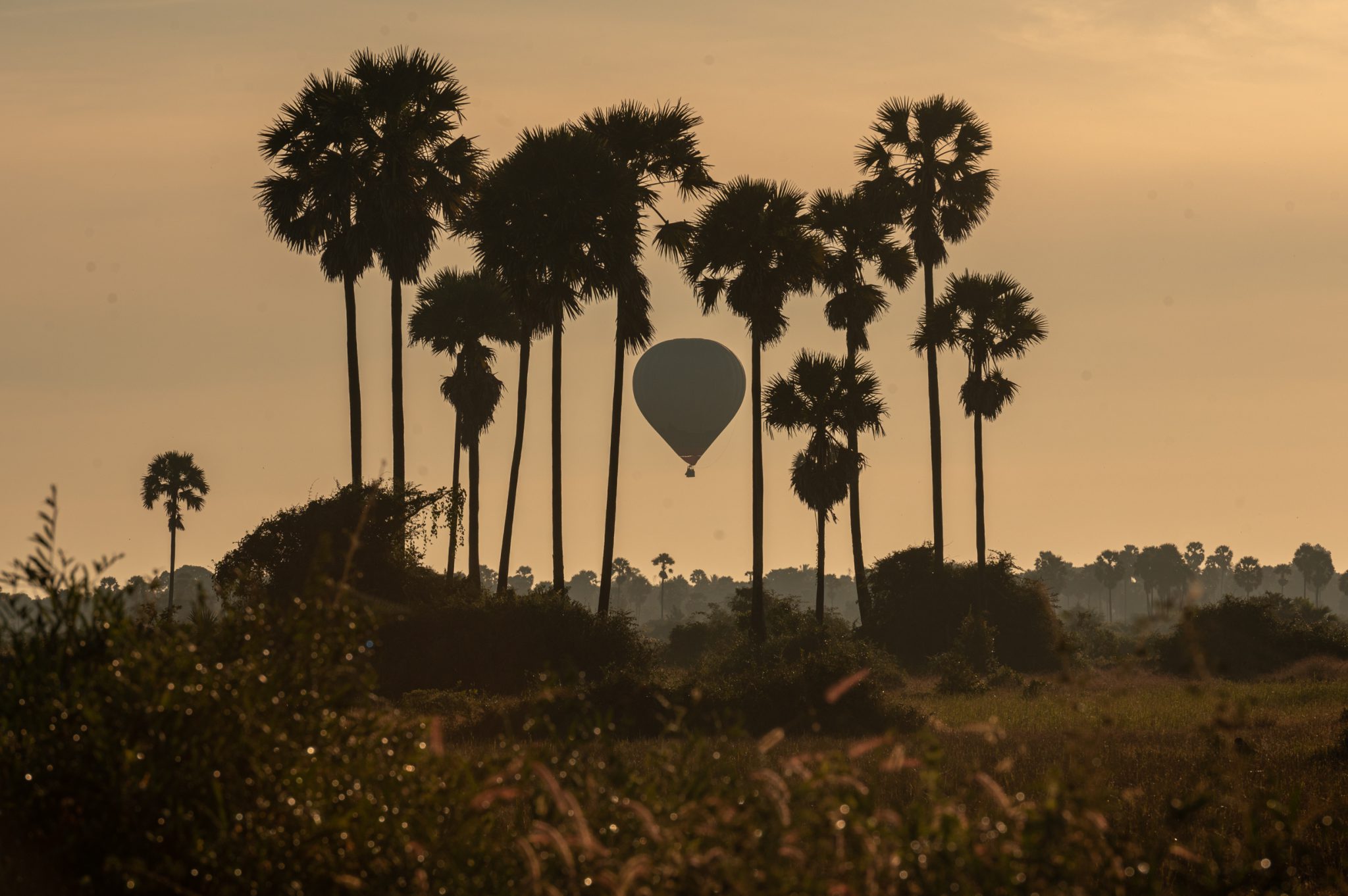 Cambodia Balloon Adventures